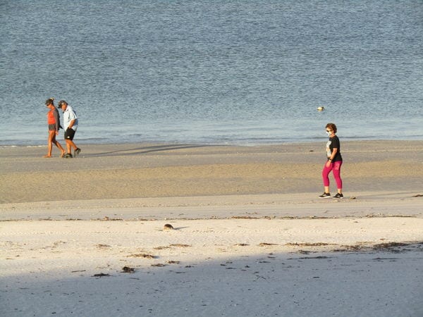 Lee County reopens beaches, parks - Cape Coral Breeze